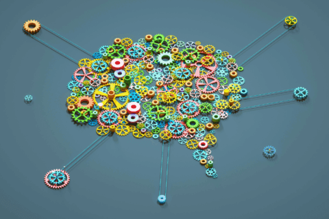 Cognitive biases: How to outsmart your own brain - publicaccountant.com.au